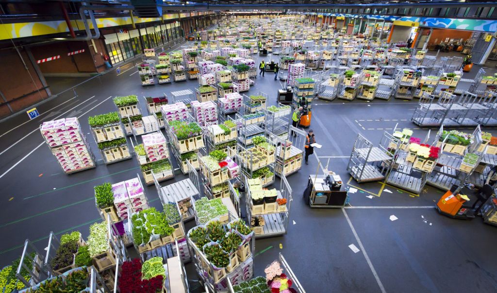 Deposit shelves | Royal FloraHolland