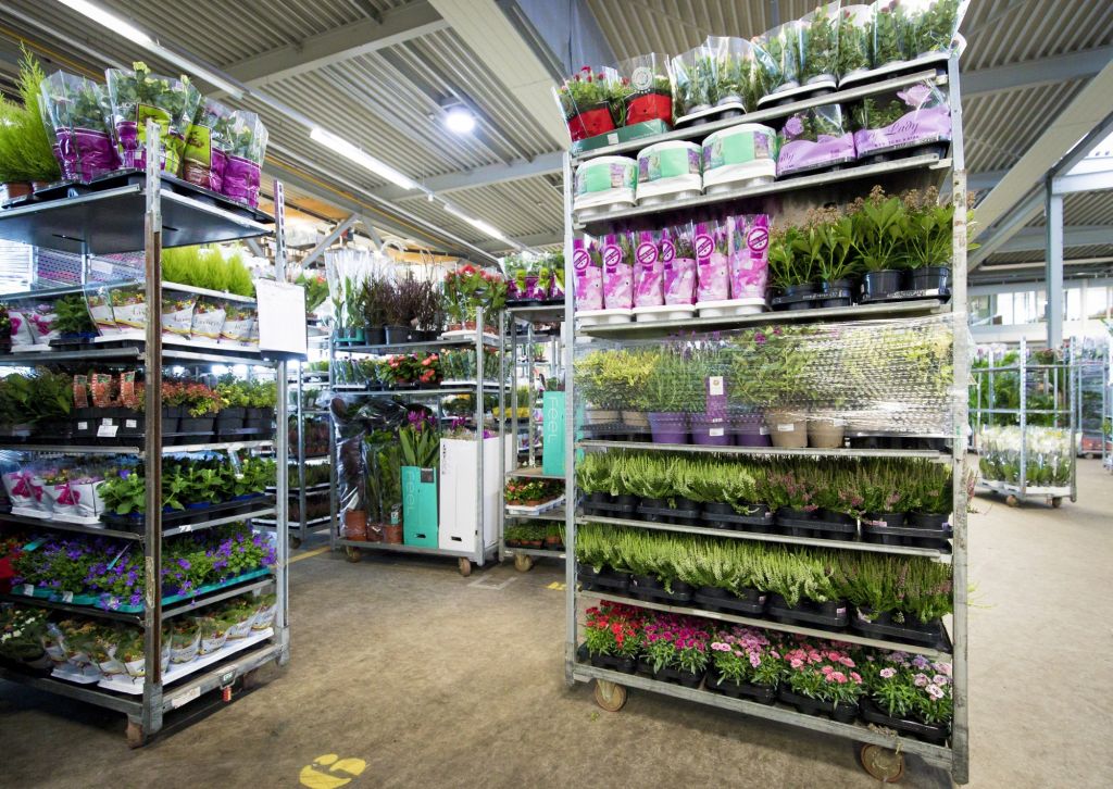Alles over CC-containers | Royal FloraHolland