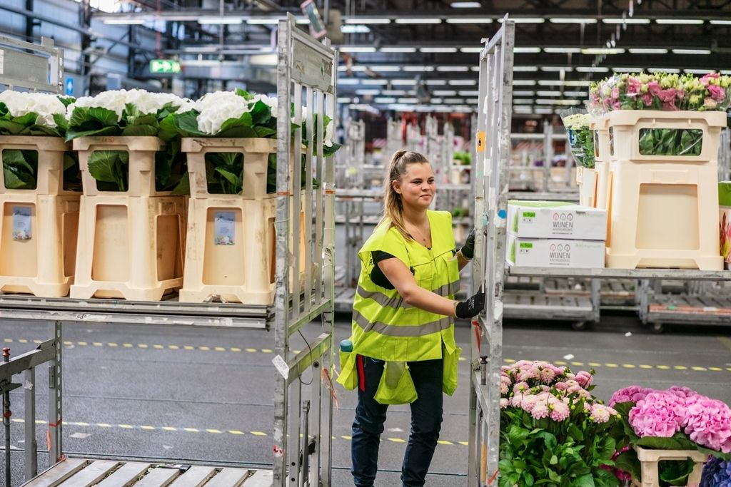 Transport Packaging | Royal FloraHolland