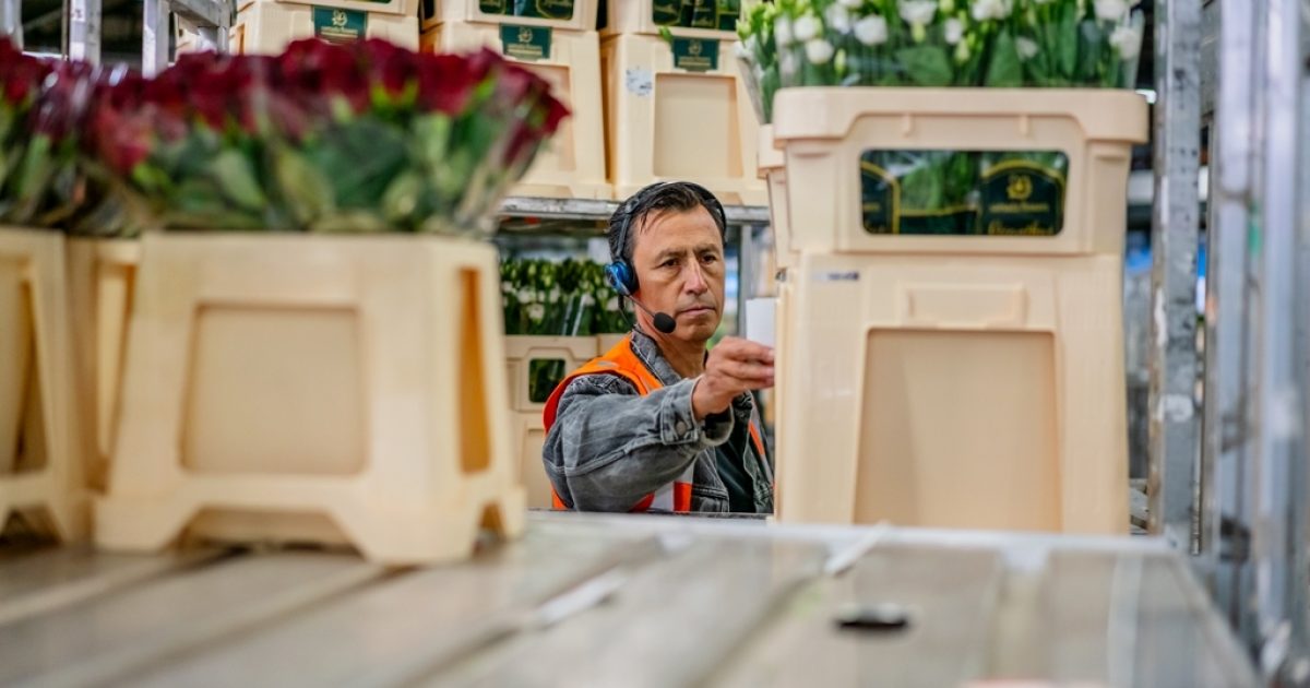 Alles over Fust | Royal FloraHolland