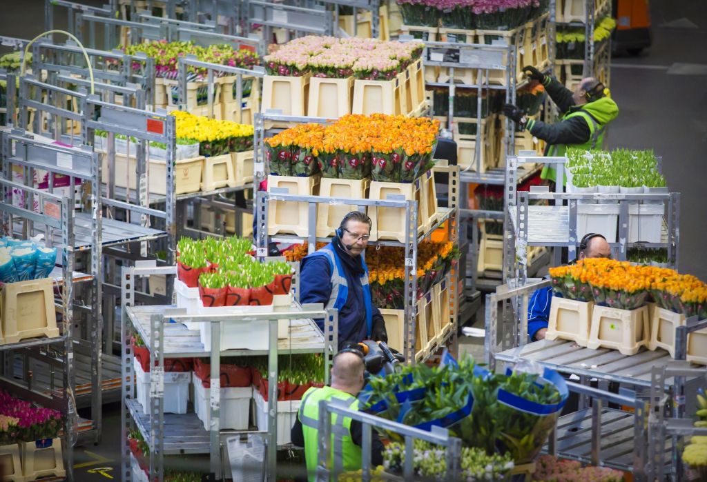 Royal FloraHolland | Press