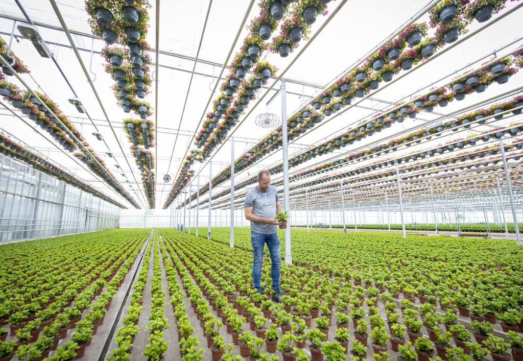 Royal FloraHolland | Over ons