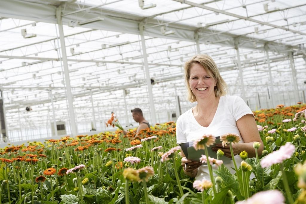 Royal FloraHolland | Home Royal FloraHolland