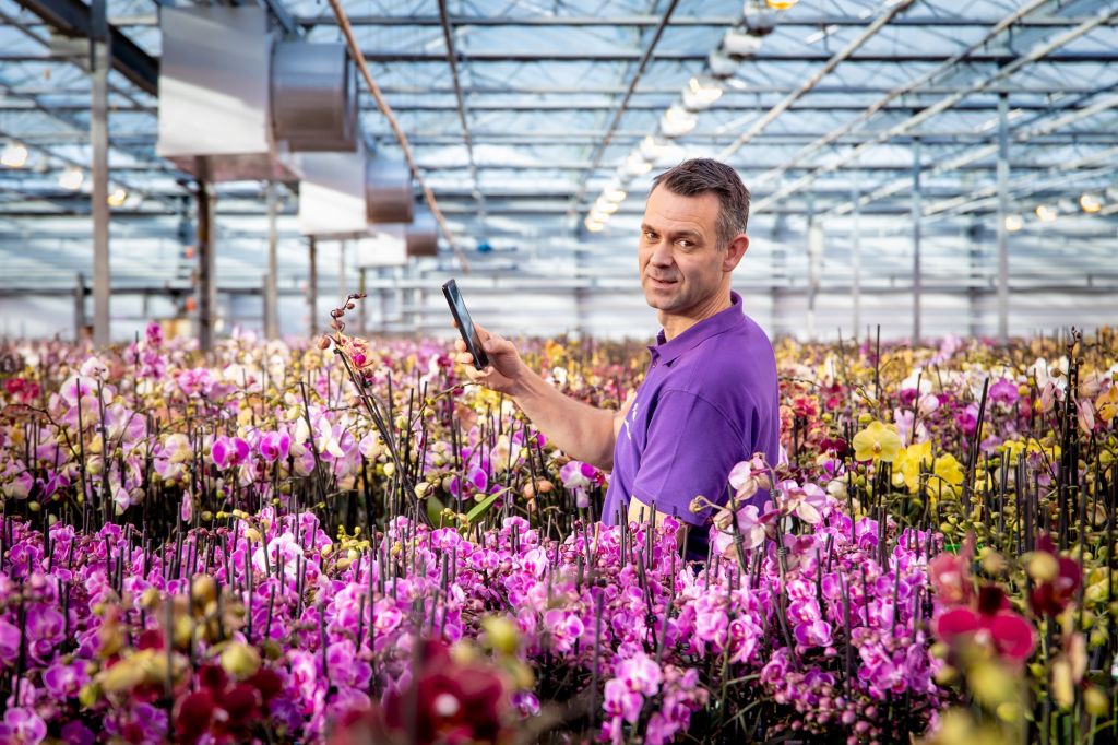 Royal FloraHolland | About us