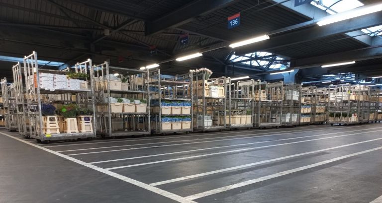 Our locations | Royal FloraHolland