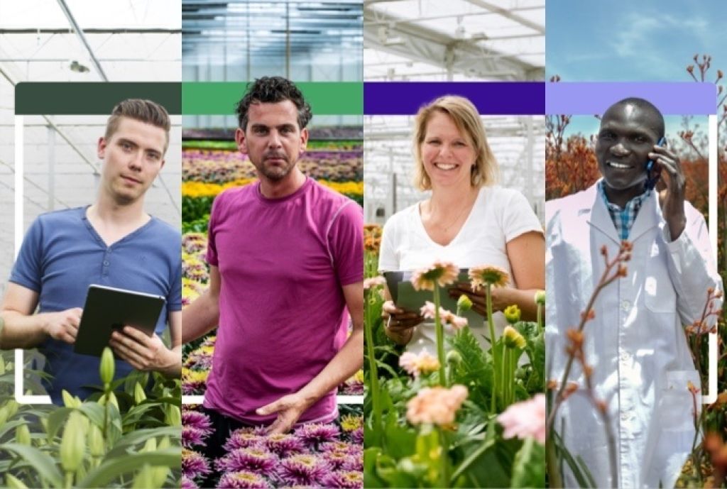 Royal FloraHolland | Home Royal FloraHolland