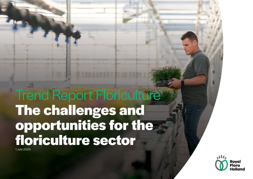 Floriculture sector sees increasing… | Royal FloraHolland