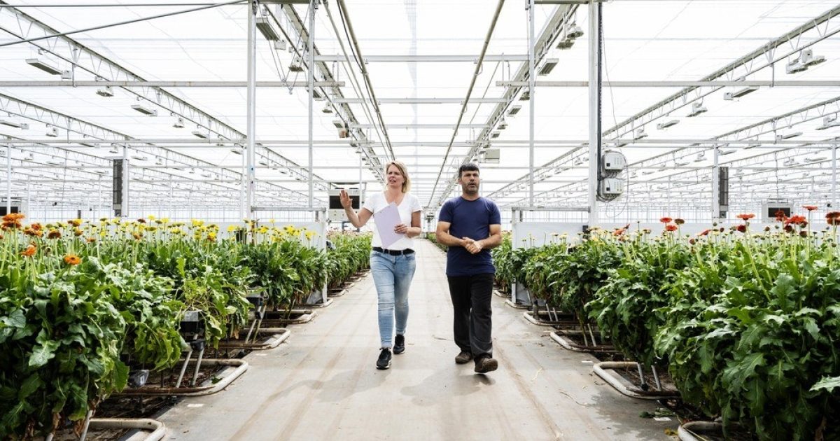 Home Royal FloraHolland | Royal FloraHolland